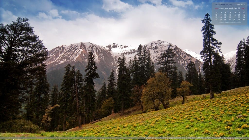 Download the June calendar wallpaper